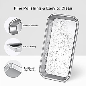 Annhua 304 Stainless Steel Lab Tray 3 Pack Surgical Instrument Trays 8.86" x 4.7" x 0.8", Lab Tray Small for Laboratory, Tattoo Station, Bathroom Organizer