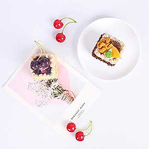 GFCC 8FTX10FT White Backdrop Background for Photography Photo Booth Backdrop for Photoshoot Background Screen Video Recording Parties Curtain