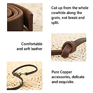 Durable Multi Function 8ft Leather Dog Leash, Genuine Leather Leash Hands Free Leash Dog Training Leash for Small, Medium and Large Dogs
