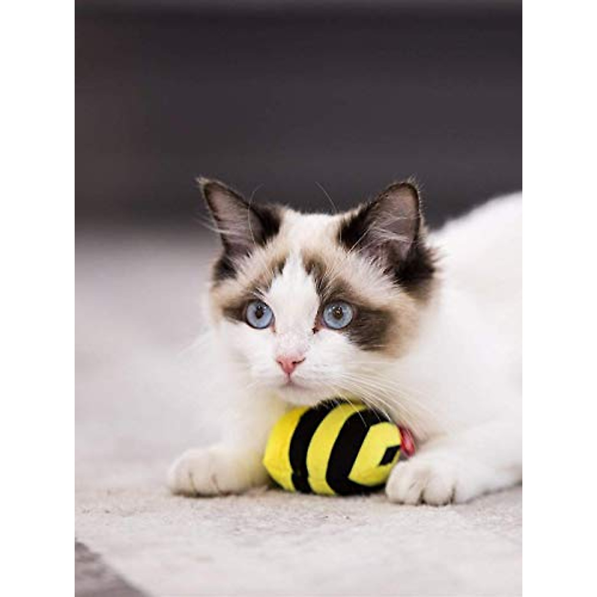 GIGWI, Melody Chaser, Motion Activated Bee