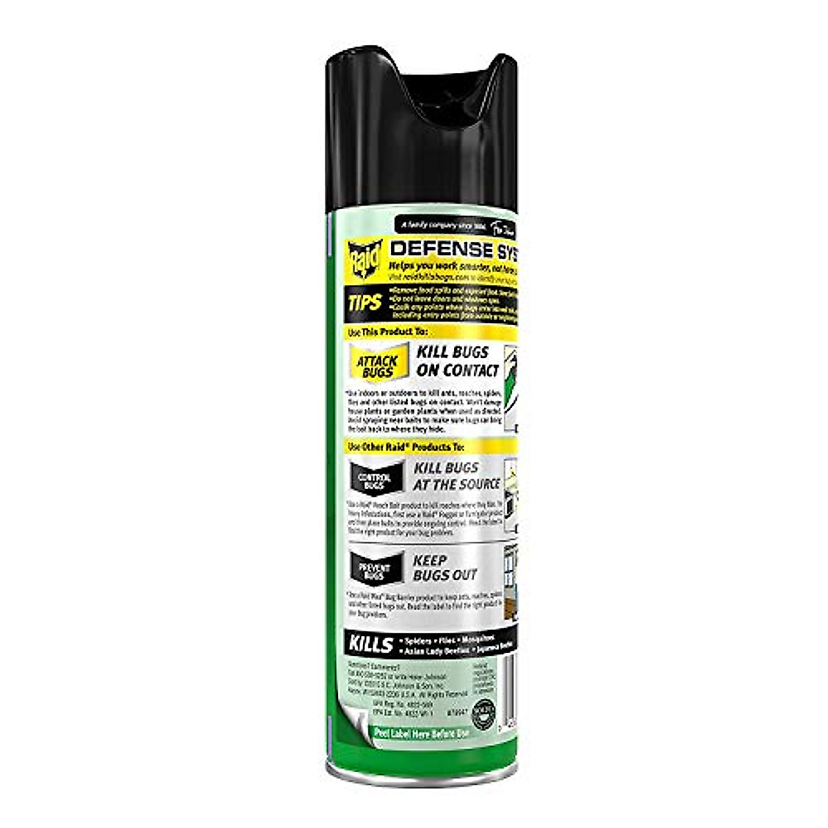 Raid House and Garden Aerosol, 11 OZ, Pack of 3