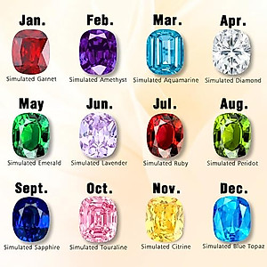 Ccjcinata Custom Fully Personalized Class Rings for Women High School 10kt White Gold Rings Birthstone Graduation Rings Size 5-15 High School Rings for Women