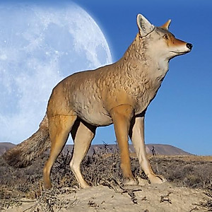 Flambeau Outdoors 5985MS-1 Lone Howler Coyote Decoy, One Size