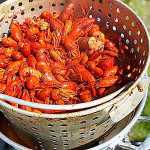 LoCo Cookers Deep Fryer Basket Pot Kit, Aluminum Circular Pots, 30 Qt, Silver