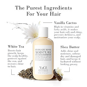 VoCÊ Haircare – Natural Hydrating Conditioner - Rinse | Deep Moisturizing, Anti-Frizz, Sulfate-Free, Non-Toxic, Vegan Haircare for Women and Men with Shea Butter, White Tea, Vanilla Cactus (8.5 oz)