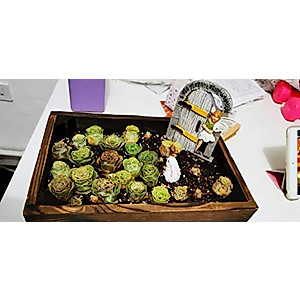 MUAMAX Fairy Door Fairy Garden Door Miniature Fairy Door Outdoor Magical Fairies Entrance Door Fairy Garden Supply Gifts