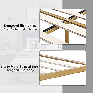 HIFIT Bed Frame Queen Size, Queen Bed Frame with Headboard, Heavy Duty Metal Foundation, Upholstered Bed Frame with Velvet Tufted Headboard, Wood Slat Support, No Box Spring Needed, Gold & Navy Blue