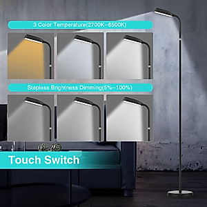 YUWLDD Battery Floor Lamp,Rechargeable Portable Reading Floor Lamp for Living Room,Battery Powered Cordless Lamp,Touch Control for Camping,Emergency Lighting(Black)