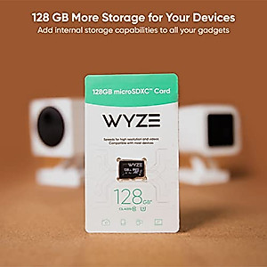 Wyze Expandable Storage 128GB MicroSDXC Card Class 10, Black