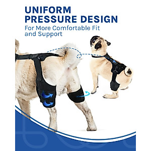 MerryMilo dog knee brace for torn acl hind leg -Upgraded Anti-Slip, Support for Cruciate Ligament Injury, Arthritis, Joint Pain, Muscle Sore, CCL Brace(Size: S, Left Leg)