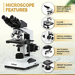 AmScope B490B Compound Binocular Microscope, WF10x and WF20x Eyepieces, 40X-2000X Magnification, Brightfield, Halogen Illumination, Abbe Condenser, Double-Layer Mechanical Stage, Sliding Head, High-Resolution Optics, Anti-Mold , White