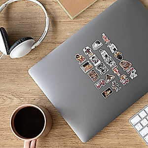 Stickers 20 Pcs Per Pack Baki Laptop The Colorful Grappler Vinyl Aesthetic Waterproof Bumper Car Luggage Bike Water Bottle Skateboard Guitar