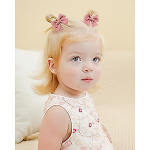 Jollybows 20pcs Baby Hair Clips Girls Bows 2" Mini Alligator Clip Toddler Pigtail Bow Fine Hair Clip