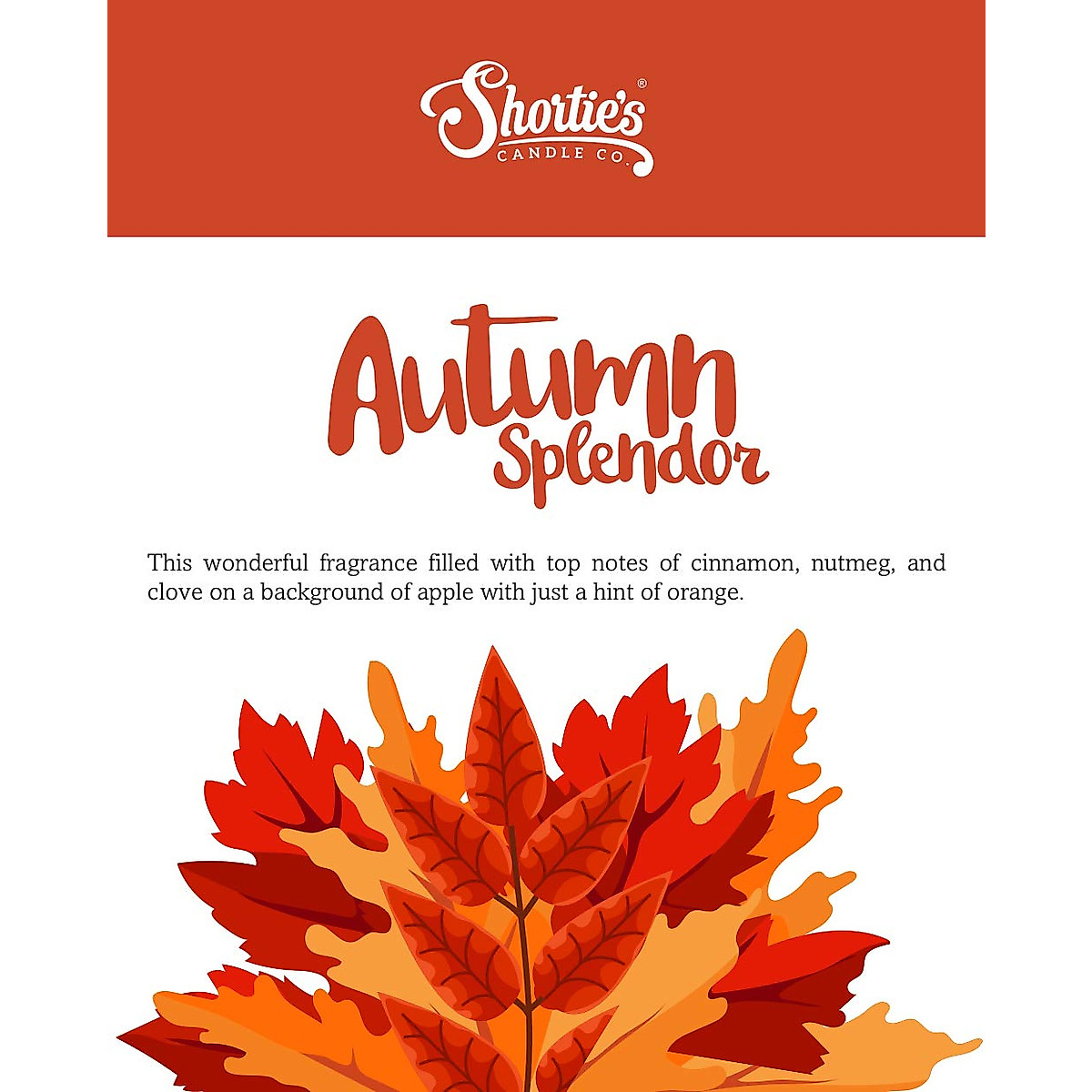 Autumn Splendor Premium Tealight Candles Multi Pack - Highly Scented with Essential Oils - 12 Orange Tea Lights - Beautiful Candlelight - Made in The USA - Christmas & Holiday Collection