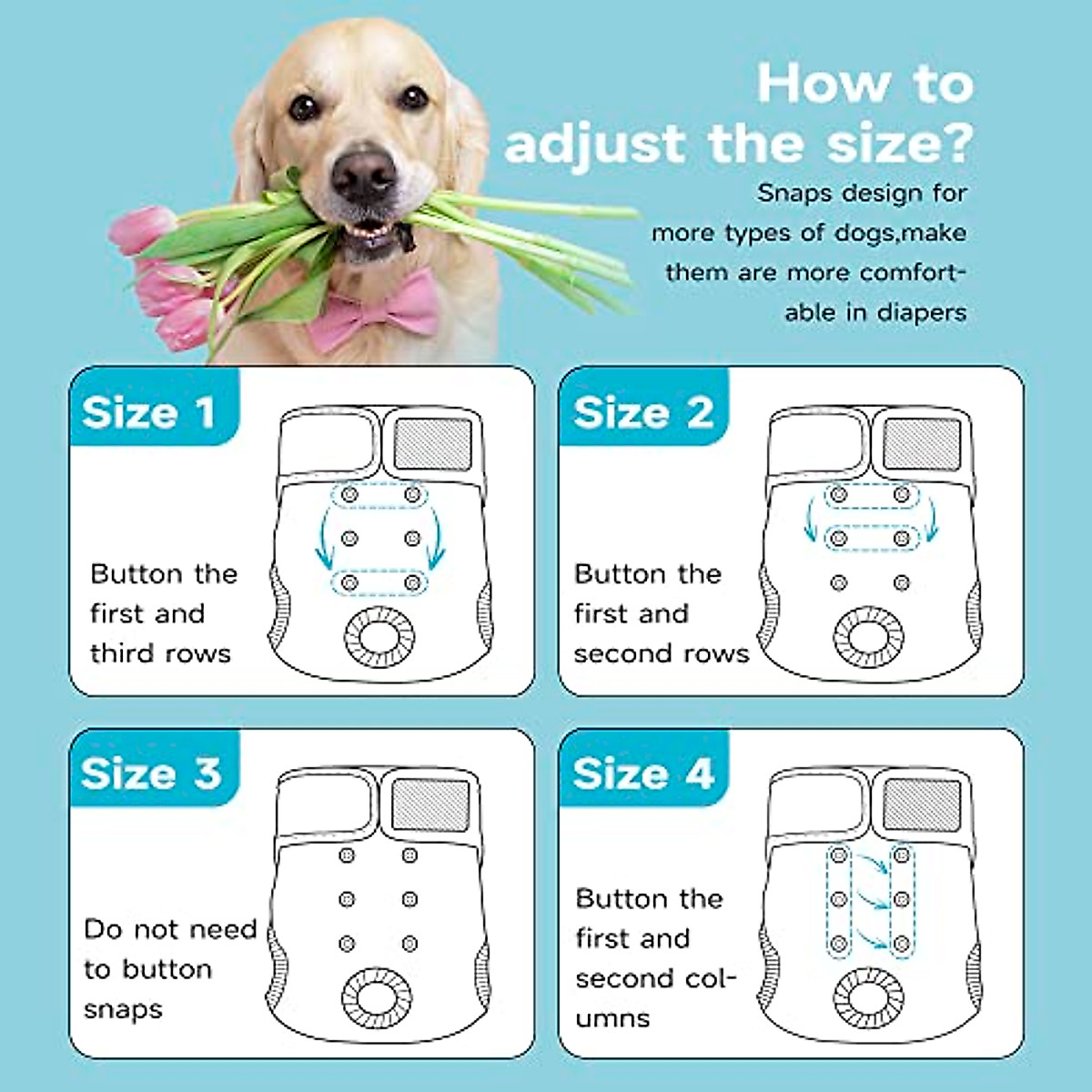 Paw Legend Washable Reusable Female Dog Diapers - No Leak Doggie Diapers for Heat Cycle (3 Pack,Adorable,Small)