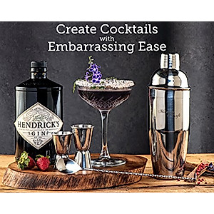 Mixology Bartender Kit: 9-Piece Bar Set Cocktail Shaker Set with Elegant Metal Stand