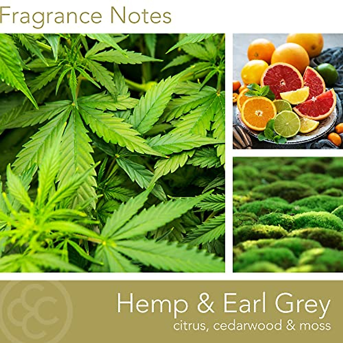 Manly Indulgence Hemp & Earl Grey Scented Jar Candle, All American Collection, 2 Wick, Green, 15 oz - Up to 60 Hours Burn