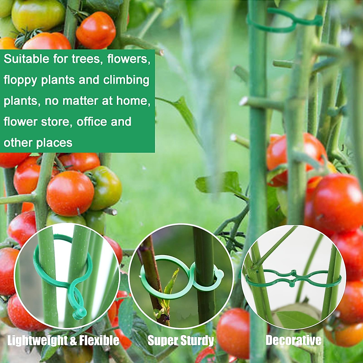 Hysagtek 100 Pcs Plant Clips for Climbing Plants Garden Clips Plant Support Clips for Tomato Gardening Clips Vegetable Clips for Support for Securing Plants