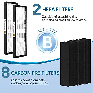 FLT4825 True HEPA B Replacement Filters Compatible with GermGuardian AP AC4825, AC4825E, AC4300BPTCA, AC4850PT, AC4900CA, CDAP450,PureGuardian AP2200CA and Black+Decker BXAP1,2 HEPA + 8 Carbon Filters