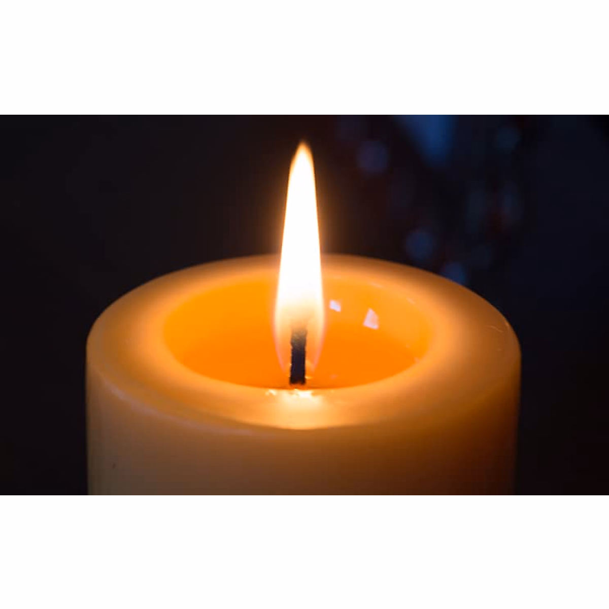 The Beeswax Co Pillar Beeswax Candle - Natural Honey Scented - Long-Lasting & Eco-Friendly - Cotton Wick - Slow Burning - Hand Poured Pure Organic Bees Wax - Short