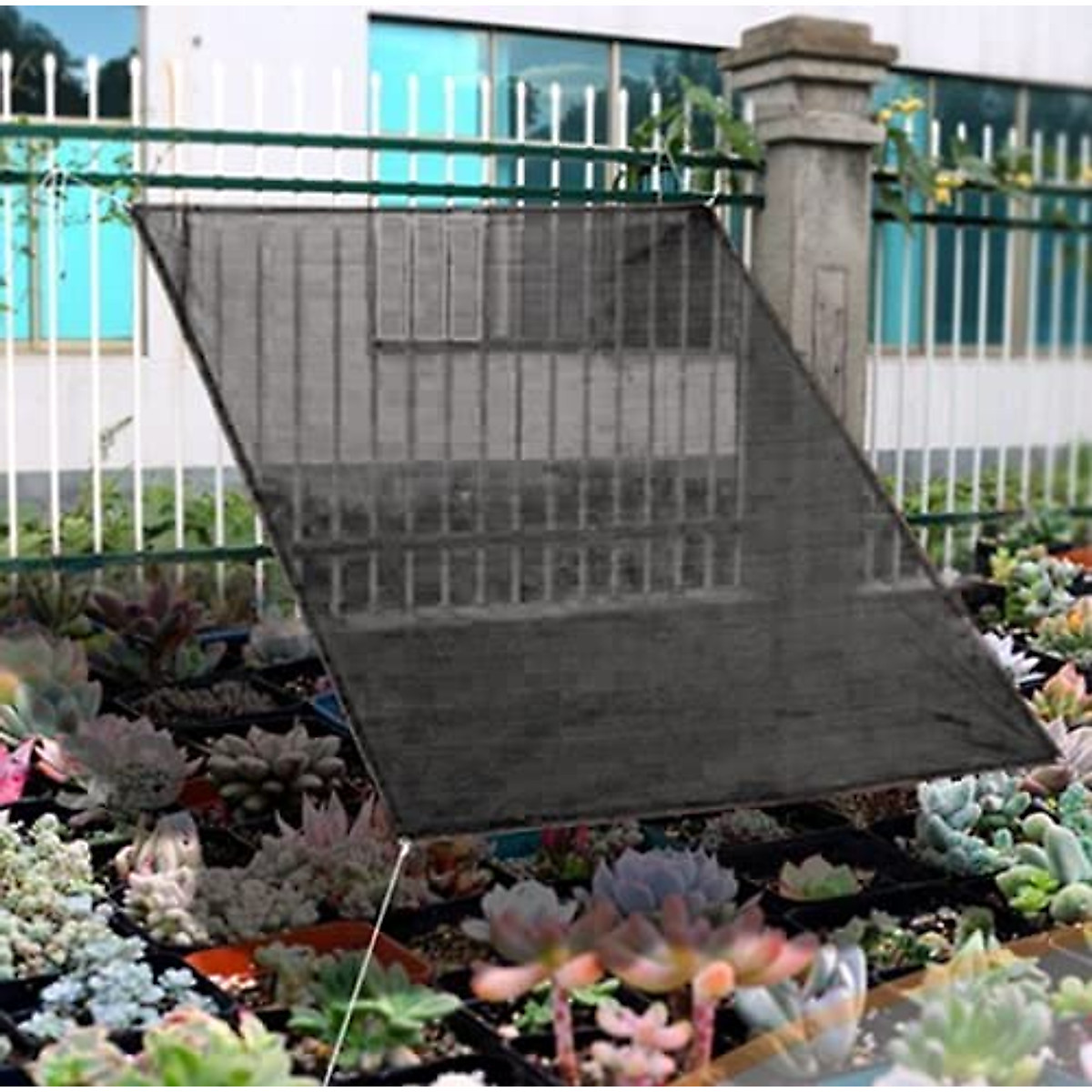 50% Sunblock Shade Cloth,Black Sun Screen Mesh Plants Greenhouse Cover Fabric,Net Tarp Sunshade UV Resistant Netting with Grommets Easier to Hang for Flowers Plants Patio Lawn Outdoor 6.5 ft x 6.5 ft