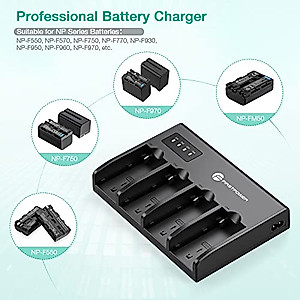 FirstPower 4-Channel Fast Charger for Sony NP-F550 NP-F570 NP-F750 NP-F770 NP-F930 NP-F950 NP-F960 NP-F970 Camera Battery