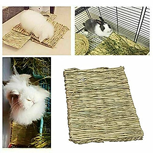 TEAFIRST Animal Hamster Grass Chew Mat Breakers Toy Pet Rabbit Rat Guinea Pig House Pad (Large)