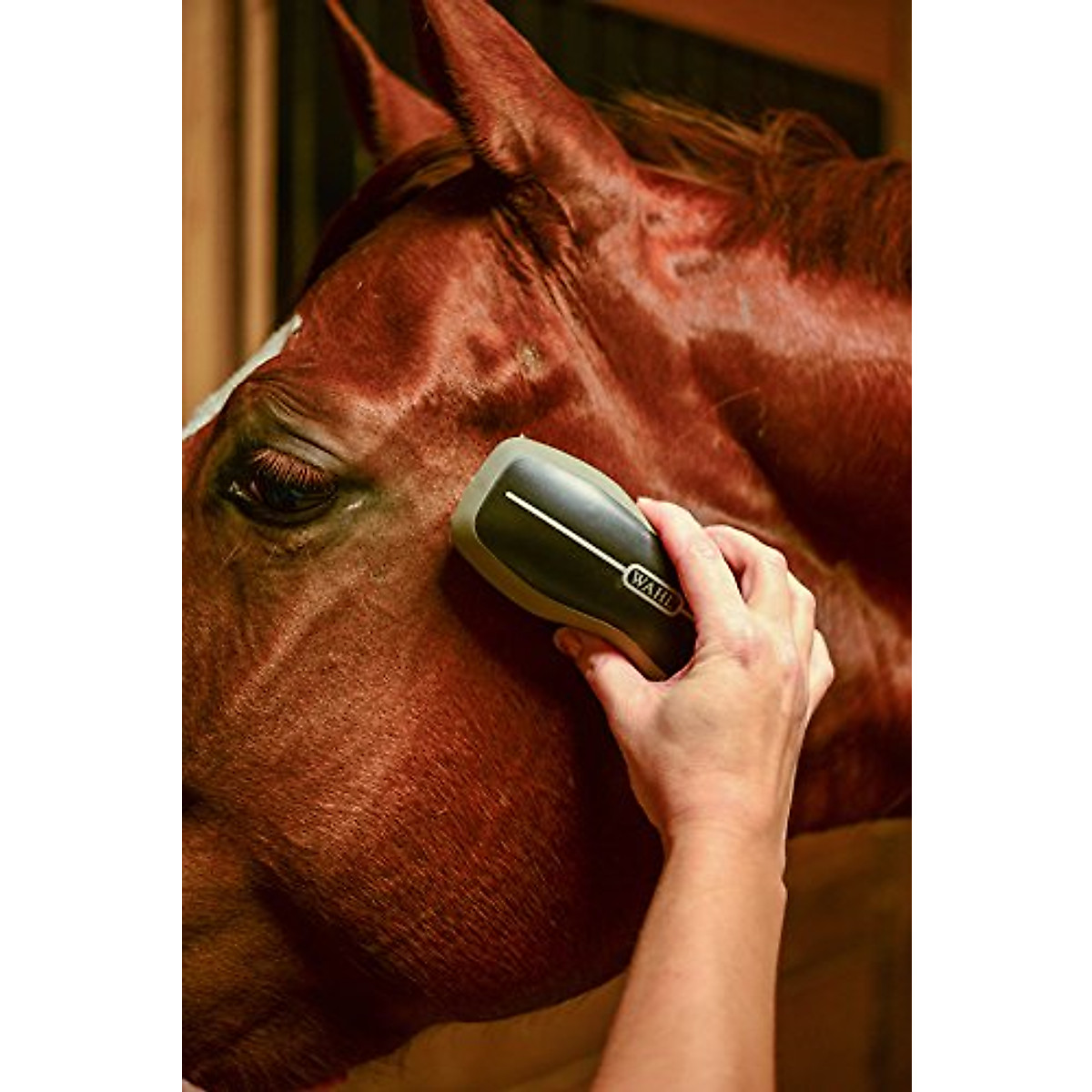 WAHL Professional Animal Equine Grooming Face Horse Brush, Black (858707)