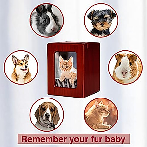 PCS Pet Urns for Cats, Cat Photo Urn, Pet Cremation Box, Cat Urn for Ashes, Urns for Cat Ashes Red-Small