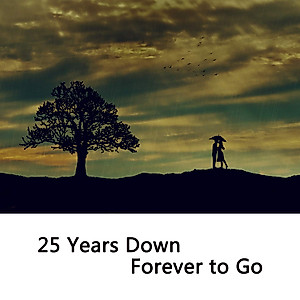 FEELMEM 25th Anniversary Present Couples Puzzle Keychain Set Of Two 25 Years Anniversary Key Chain Present For Him Her (25th)