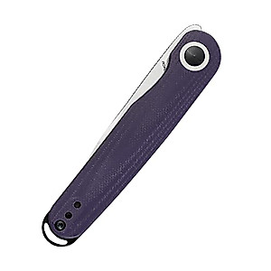 Kizer Squidward Pocket Knife for EDC, 154CM Steel and G10 Handle, Purple Daily Folding Knife, Office Knife, V3604C1