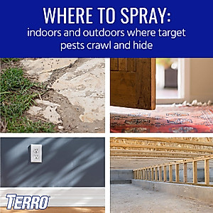 TERRO T2302-6 Spider Killer Spray for Indoors and Outdoors - Kills Spiders, Ants, Roaches, Scorpions, Ticks, Silverfish, and Other Insects