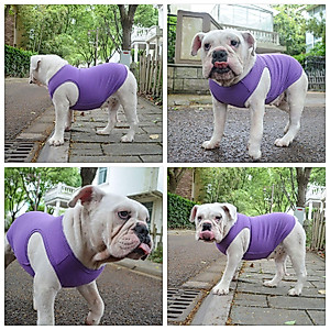 Lovelonglong 2019 Summer Pet Clothing, Dog Clothes Blank T-Shirts Ribbed Tanks Top Thread Vests for Large Medium Small Dogs 100% Cotton Purple L