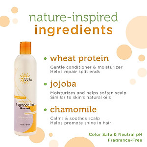 Earth Science, Shampoo - Fragrance Free, 1 Count, 97 Pack