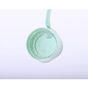 DEDEYA Samily10 oz Tritan Colored Water Bottle,Infuser Small Water Bottle,Lightweight,Resuable,Leak Proof,Wide Opening,Cute and Clear(Green)