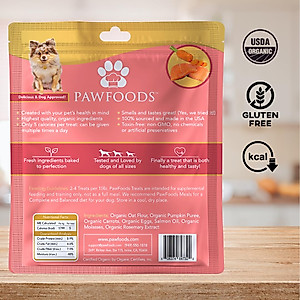 PawFoods Salmon Dog Treats - Organic Dog Treats with Salmon - Shiny Coat Healthy Skin, Omega 3 & 6, Low Calorie Dog Training Treats, Healthy Dog Treats - Approx. 60 Treats Per Bag - 170g - Made in USA