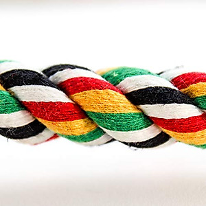 Penn-PLAX Bird Life Multicolored and Flexible Rope Perch – Create Fun, Colorful Curves and Bends – Great for Small and Medium Birds – 21” Long