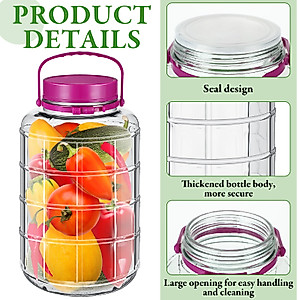 Bokon 2 Gallon Glass Jar with Lid and Handle Wide Mouth Airtight Dry Food Storage Pickling Mason Jar Glass Water Jug for Fermenting Sun Tea Kombucha Kefir Water Storing Canning (1 Pcs)