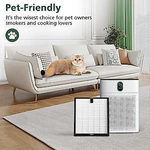 HY4866 Replacement Filter Compatible with MORENTO HY4866, WESTHEY HY4866, YIOU M1 Air Purifier, 3-in-1 H13 Ture HEPA Replacement Filters (Extra 4 Pre-filter) Enhanced Version for HY4866