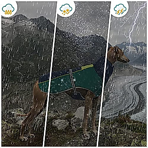 T'CHAQUE Warm Dog Jacket, Cold Weather Coat for Small Medium Large Dogs, Waterproof Reflective Turtleneck Dog Vest, Winter Fleece Dog Outfit with Leash Ring Windproof Adjustable Dog Apparel Clothes