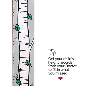 Birch Tree Growth Chart for Wall, Wooden Growth Chart for Kids Height Measurement for Wall, Child Height Wall Chart, Kids Height Wall Chart, Nursery Wall Decor, Wall Growth Tracker, Child Room Decor
