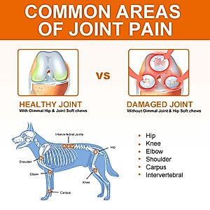 ZIXAOK Glucosamine for Dogs - Hip & Joint Supplement (150 Tablets, 13.2 oz) - Chews with Chondroitin, MSM & Hemp Oil for Arthritis Relief & Enhanced Mobility for All Breeds