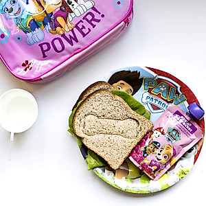 Paw Patrol Really Raspberry Organic Mixed Fruit Squeeze Pouch, 3.5 Ounce (Pack of 10)