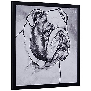 Amazon Brand – Stone & Beam Modern Black and White Print Wall Art of English Bulldog, Black Frame, 22" x 22"