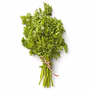 Gaea's Blessing Seeds - Chervil Seeds - Non-GMO Seeds with Easy to Follow Planting Instructions - Open-Pollinated French High Yield Heirloom 92% Germination Rate 1.6g