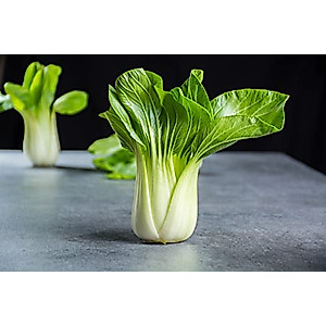 1000 Bok Choy Seeds - Shanghai Green Stem - Heirloom Non-GMO Vegetable Seeds for Planting - AKA Pak Choi, Pok Choi, Chinese Cabbage