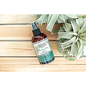 Air Plants Fertilizer in fine Mist Spray Bottle – Plant Food for Tillandsia - Monthly use for Growth of House Plants (1 Pack - 8 OZ)