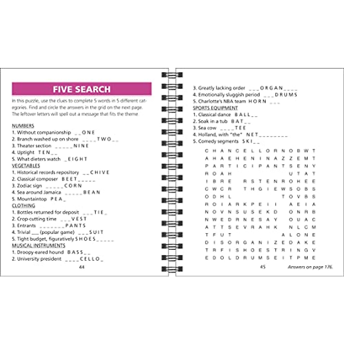 Brain Games - Large Print Word Search