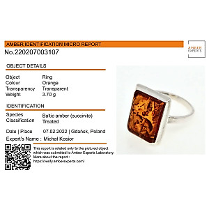 HolidayGiftShops Sterling Silver and Baltic Honey Rectangle Amber Adult Ring- Size 10