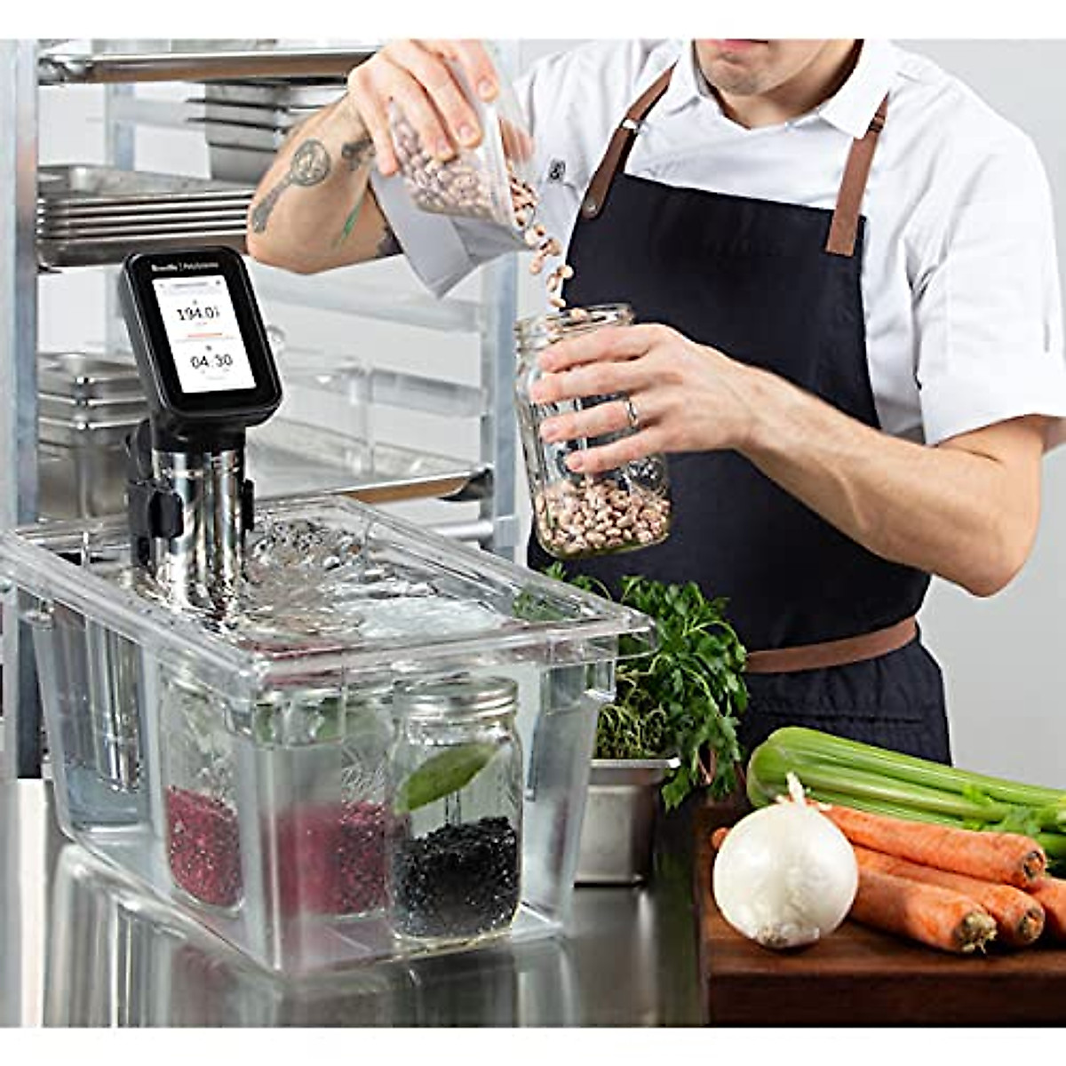 Sage Polyscience HydroPro™ Sous Vide Immersion Circulator, Stainless, 240V